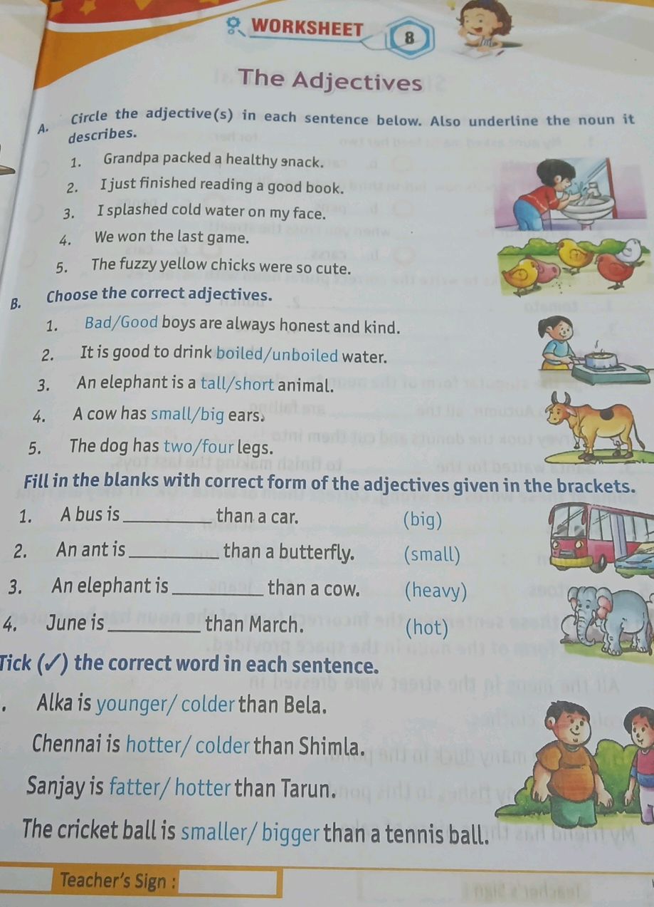 A. Circle the adjective(s) in each sentence | StudyX