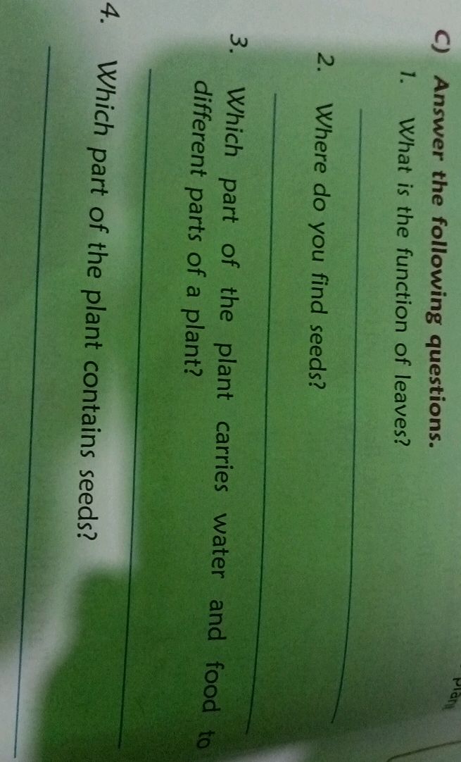 C) Answer the following questions. 1. What | StudyX