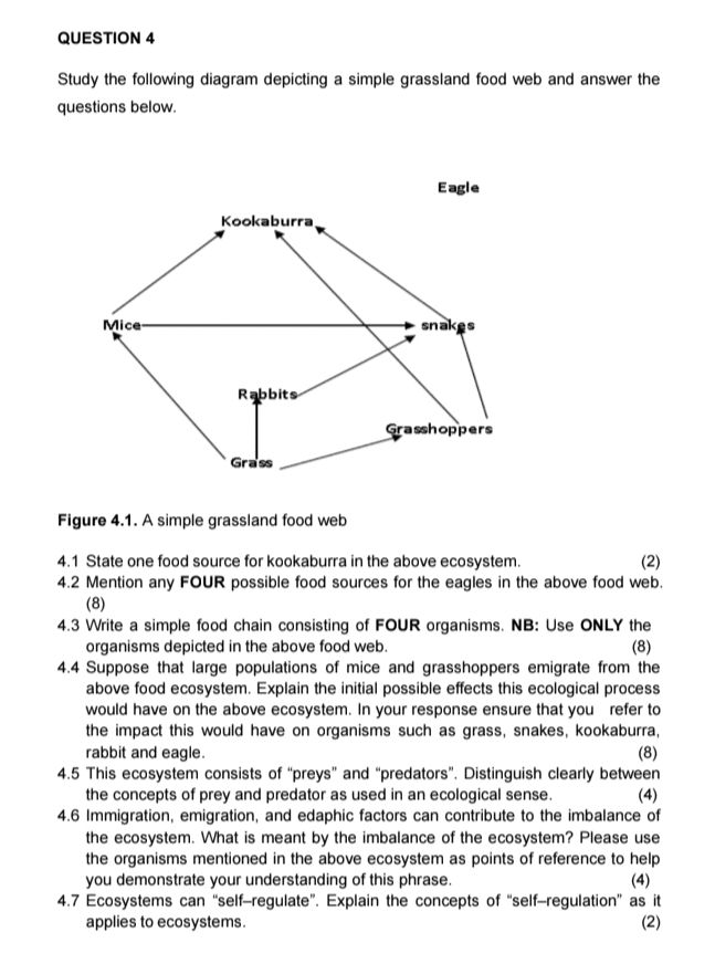 QUESTION 4 Study the following diagram | StudyX