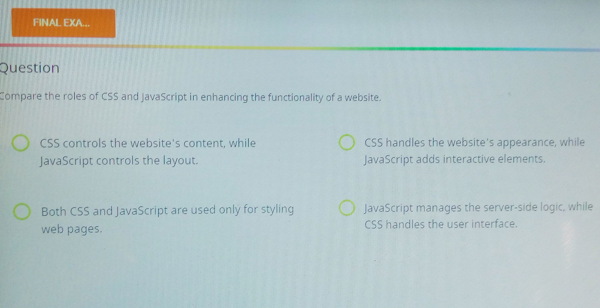 Compare the roles of CSS and JavaScript in | StudyX