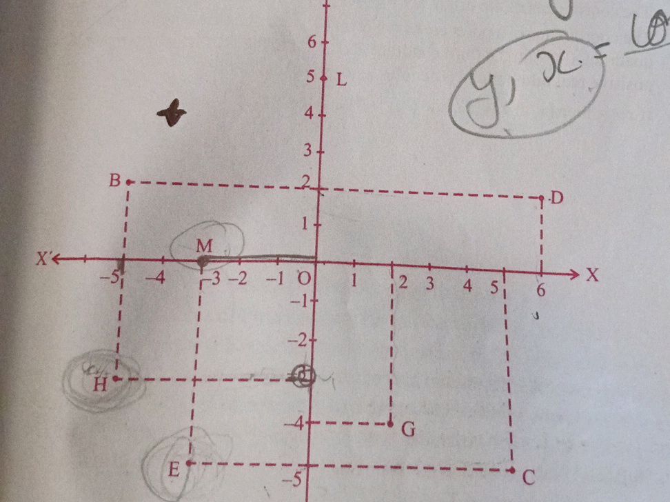 The image shows a coordinate plane with | StudyX