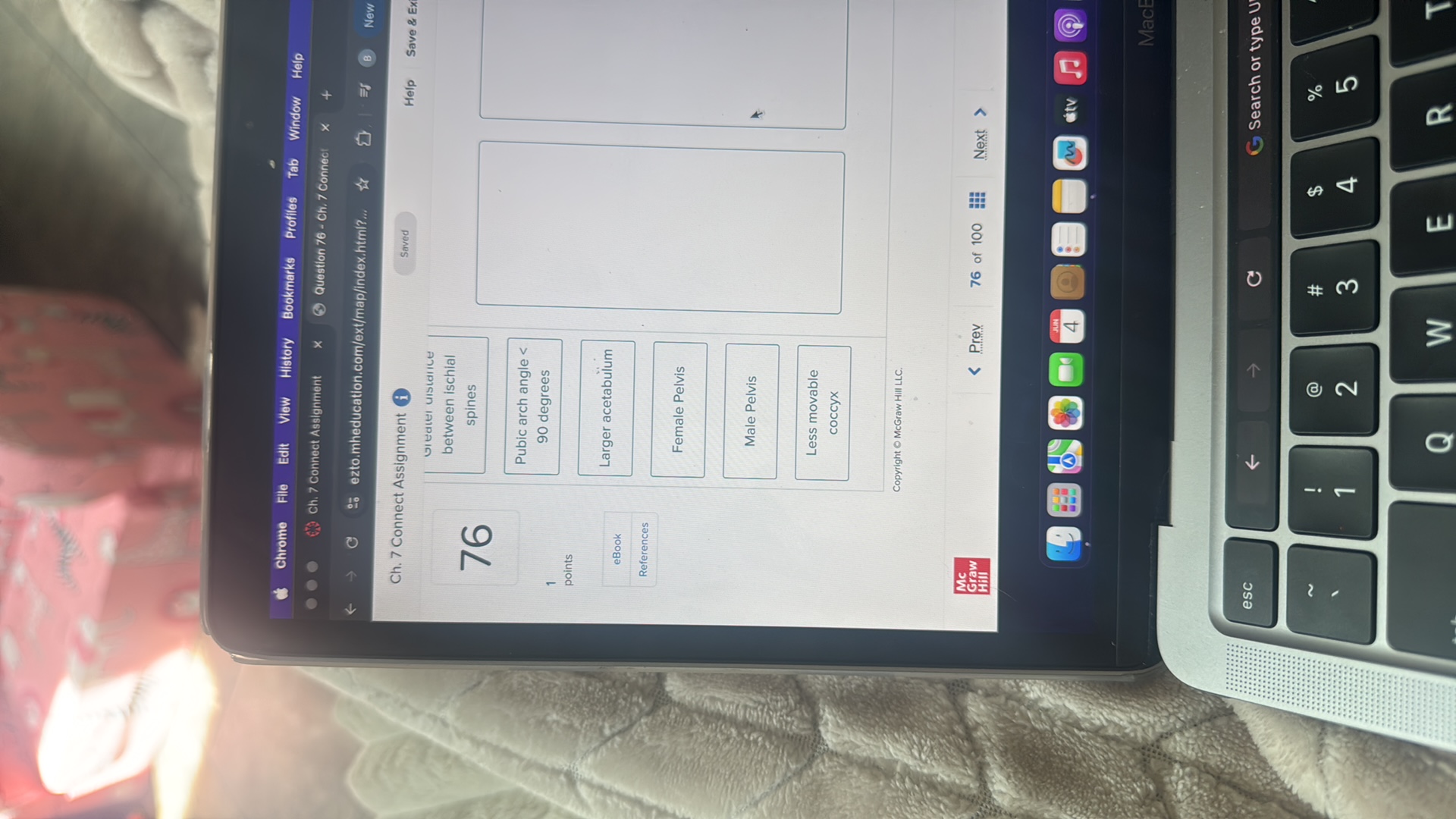 Match each description into the correct | StudyX