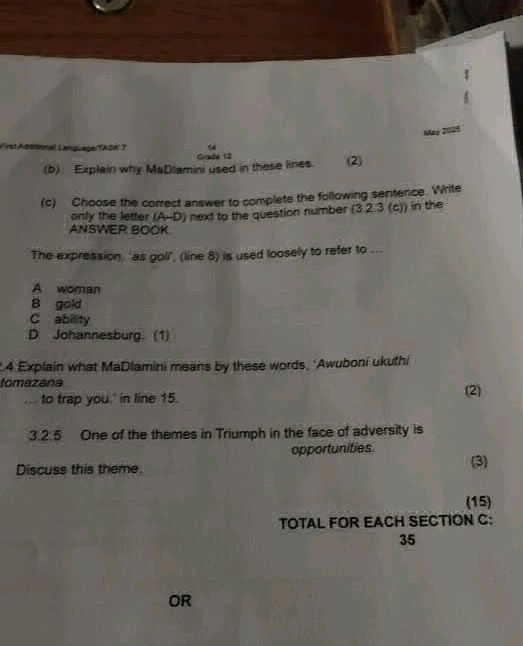 (b) Explain why MaDlamini used in these | StudyX