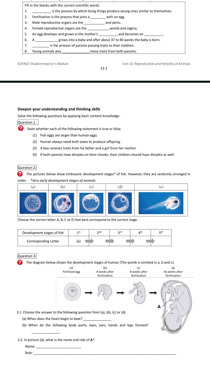 Fill in the blanks with the correct | StudyX