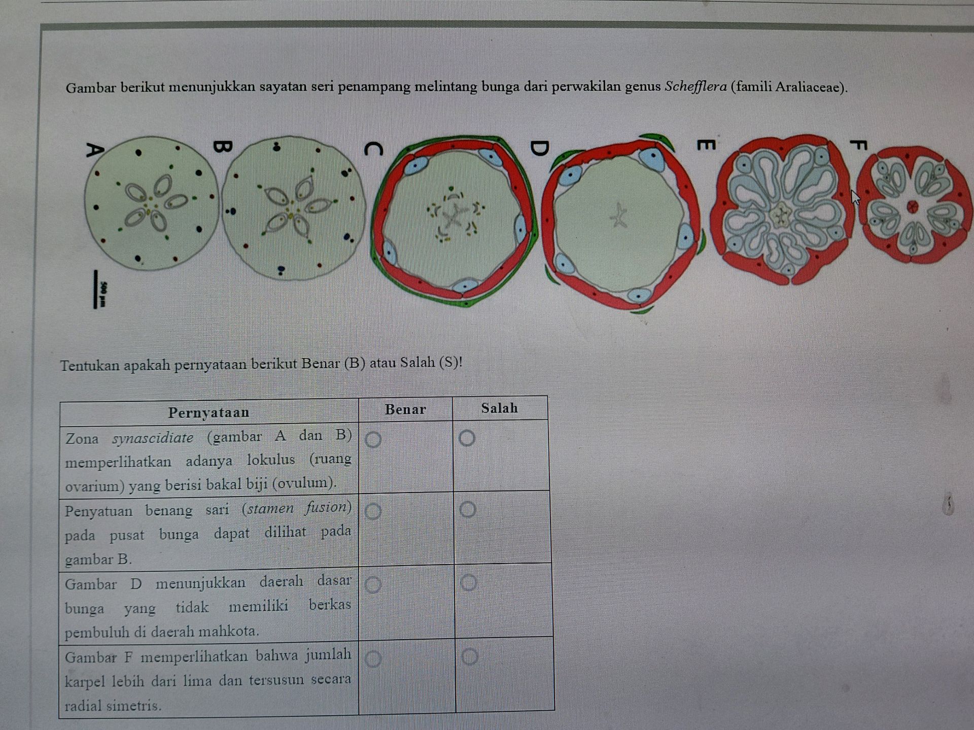 Gambar berikut menunjukkan sayatan seri | StudyX