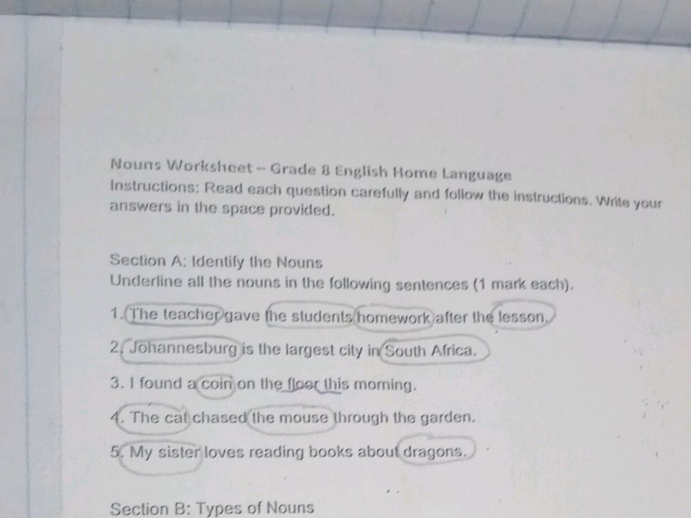 Section A: Identify the Nouns Underline all | StudyX
