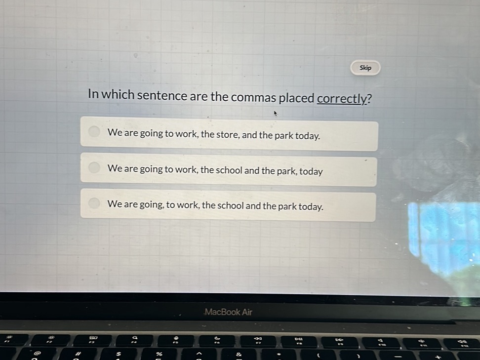 In which sentence are the commas placed | StudyX