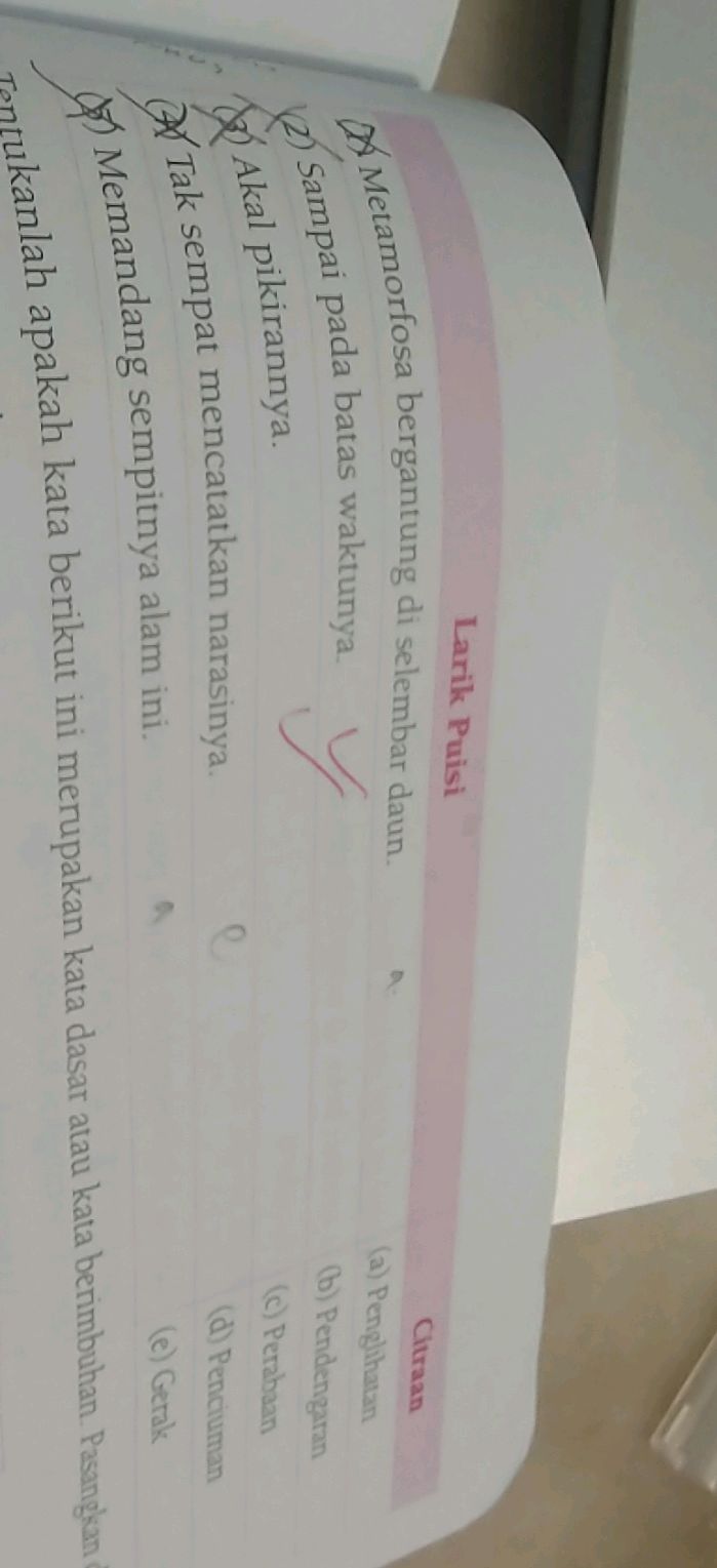 Metamorfosa bergantung di selembar daun. | StudyX