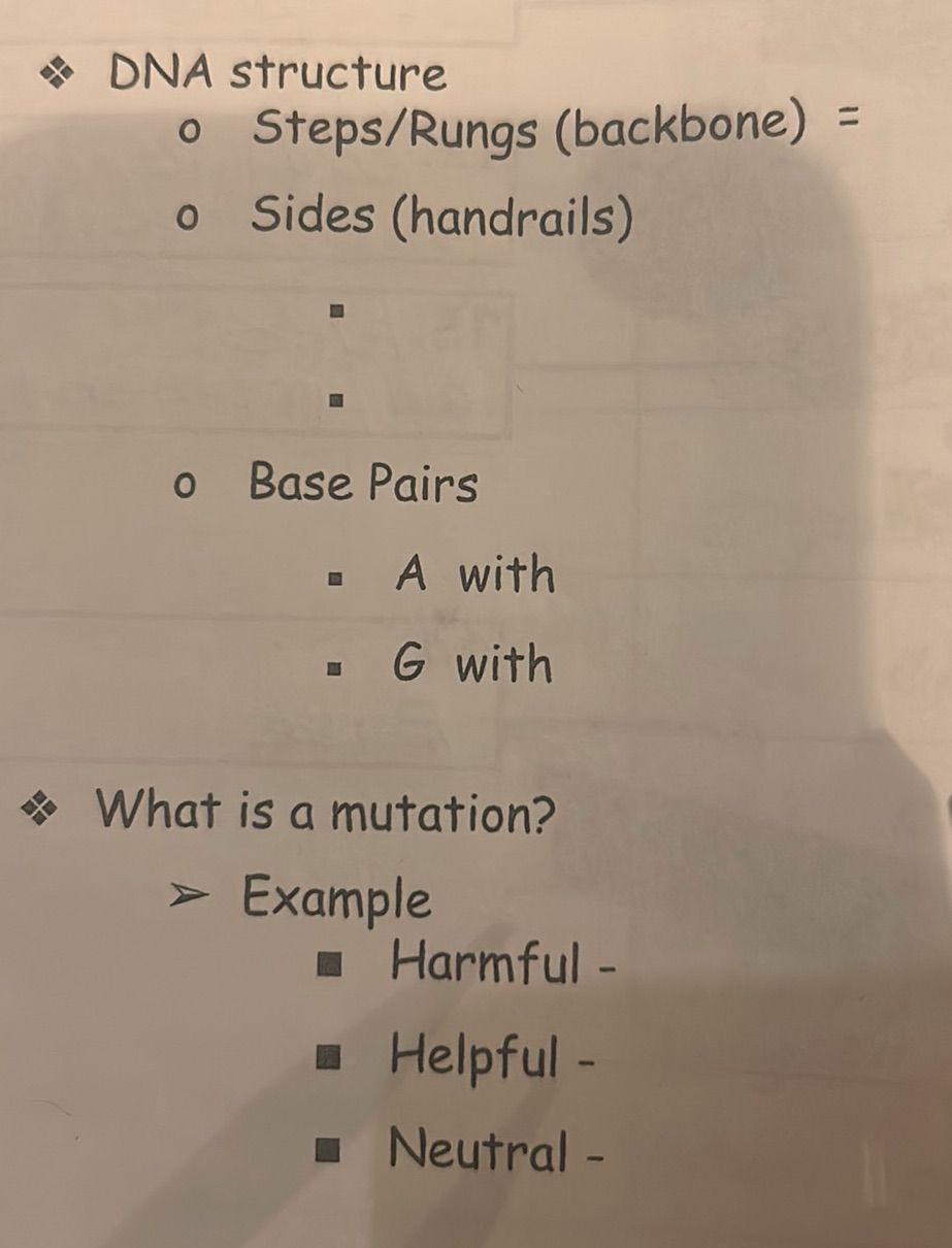 What is a mutation? Example - Harmful - - | StudyX