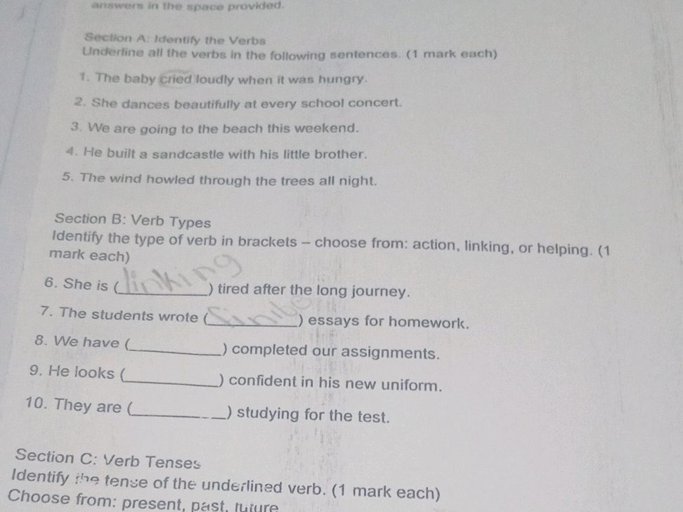 Section A: Identify the Verbs Underline all | StudyX