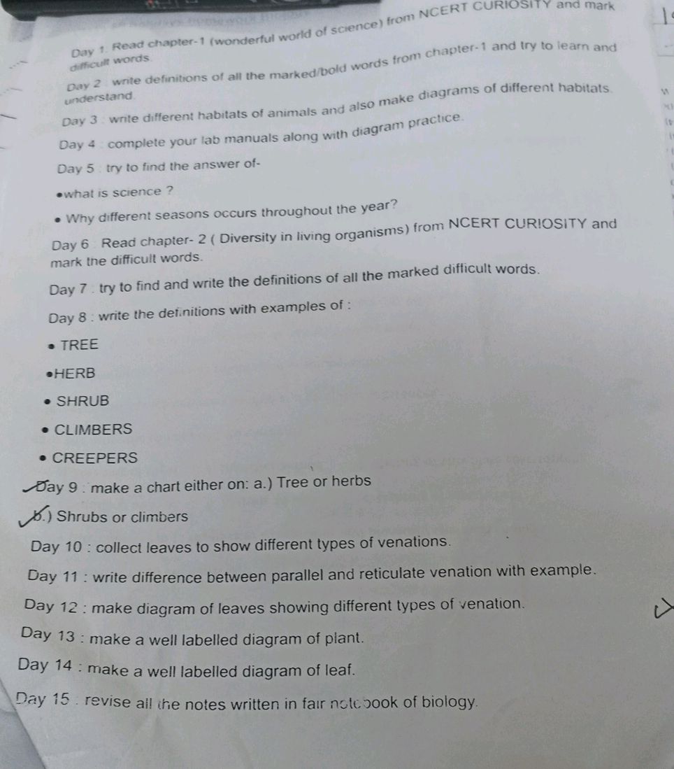 Day 8: write the definitions with examples | StudyX
