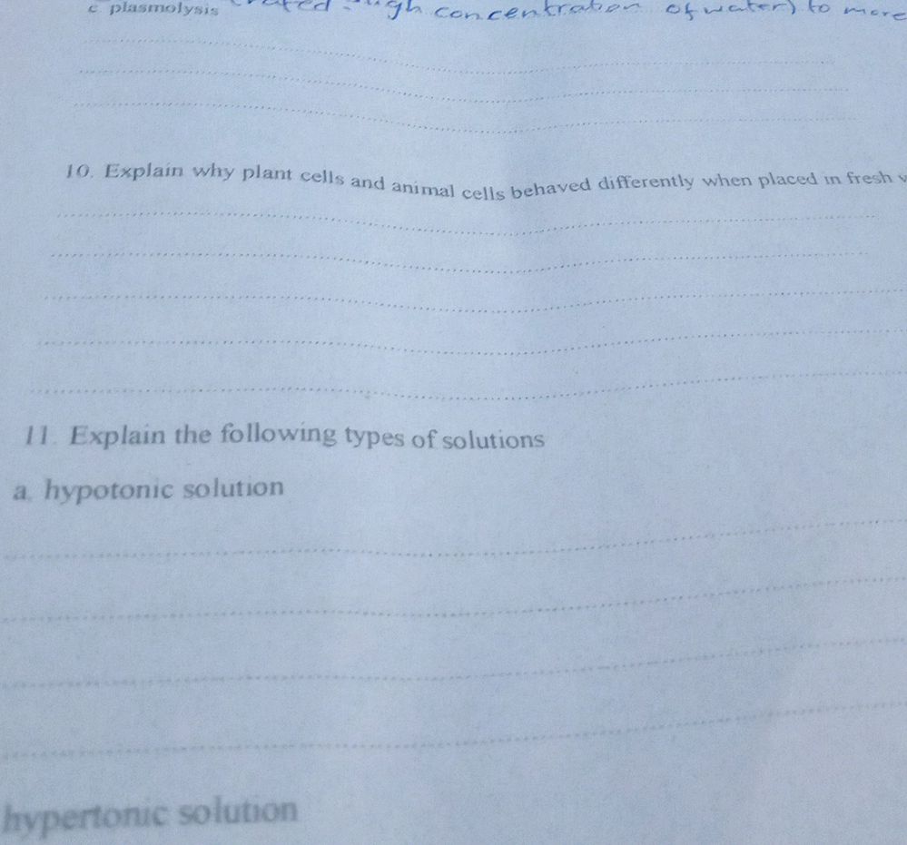 10. Explain why plant cells and animal cells | StudyX