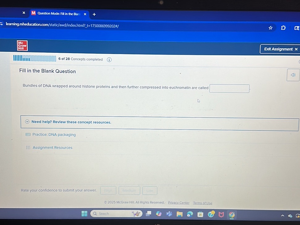 Fill in the Blank Question Bundles of DNA | StudyX