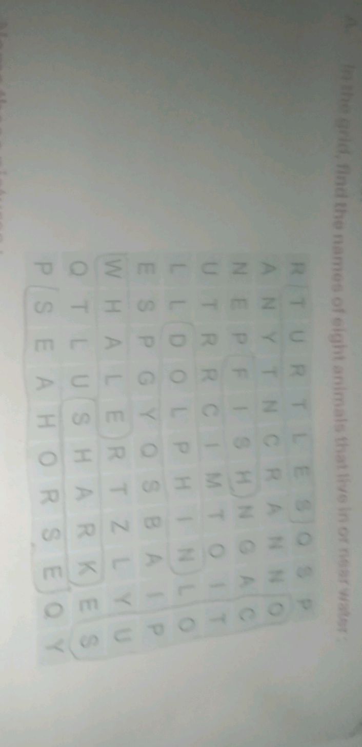 In the grid, find the names of eight animals | StudyX