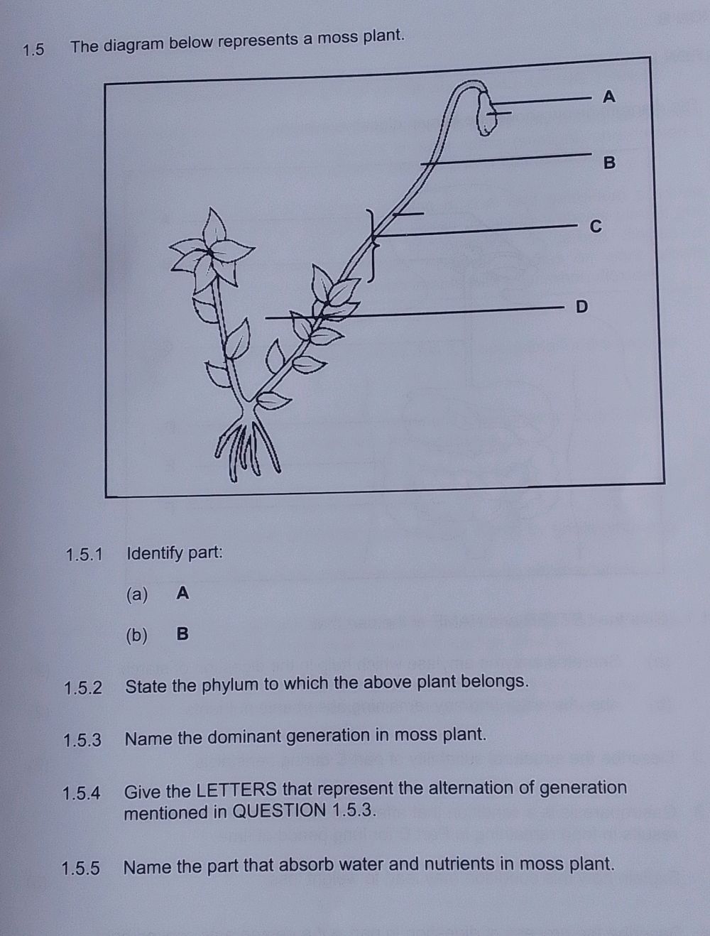 1. 5 The diagram below represents a moss | StudyX