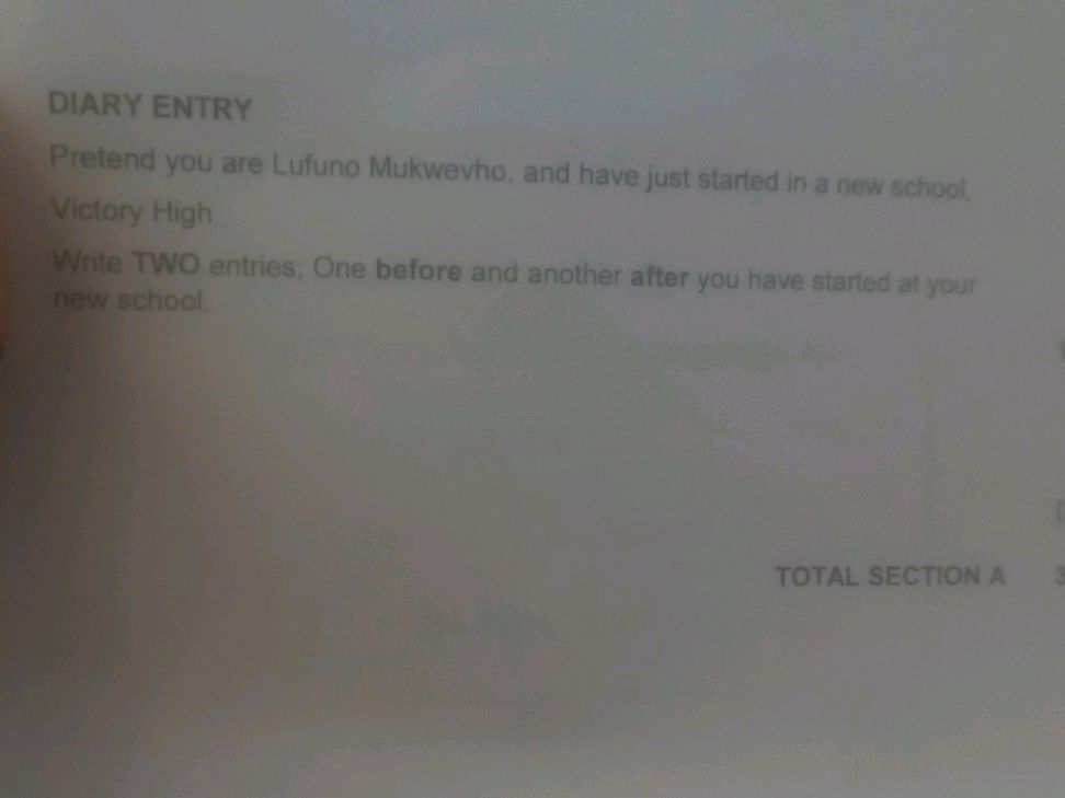 DIARY ENTRY Pretend you are Lufuno | StudyX