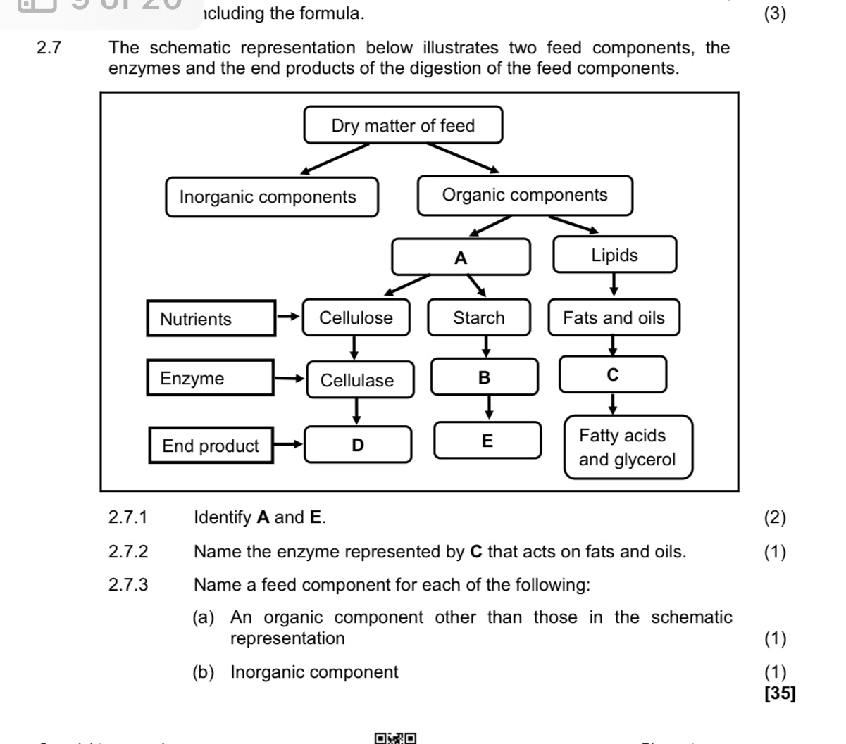 The schematic representation below | StudyX