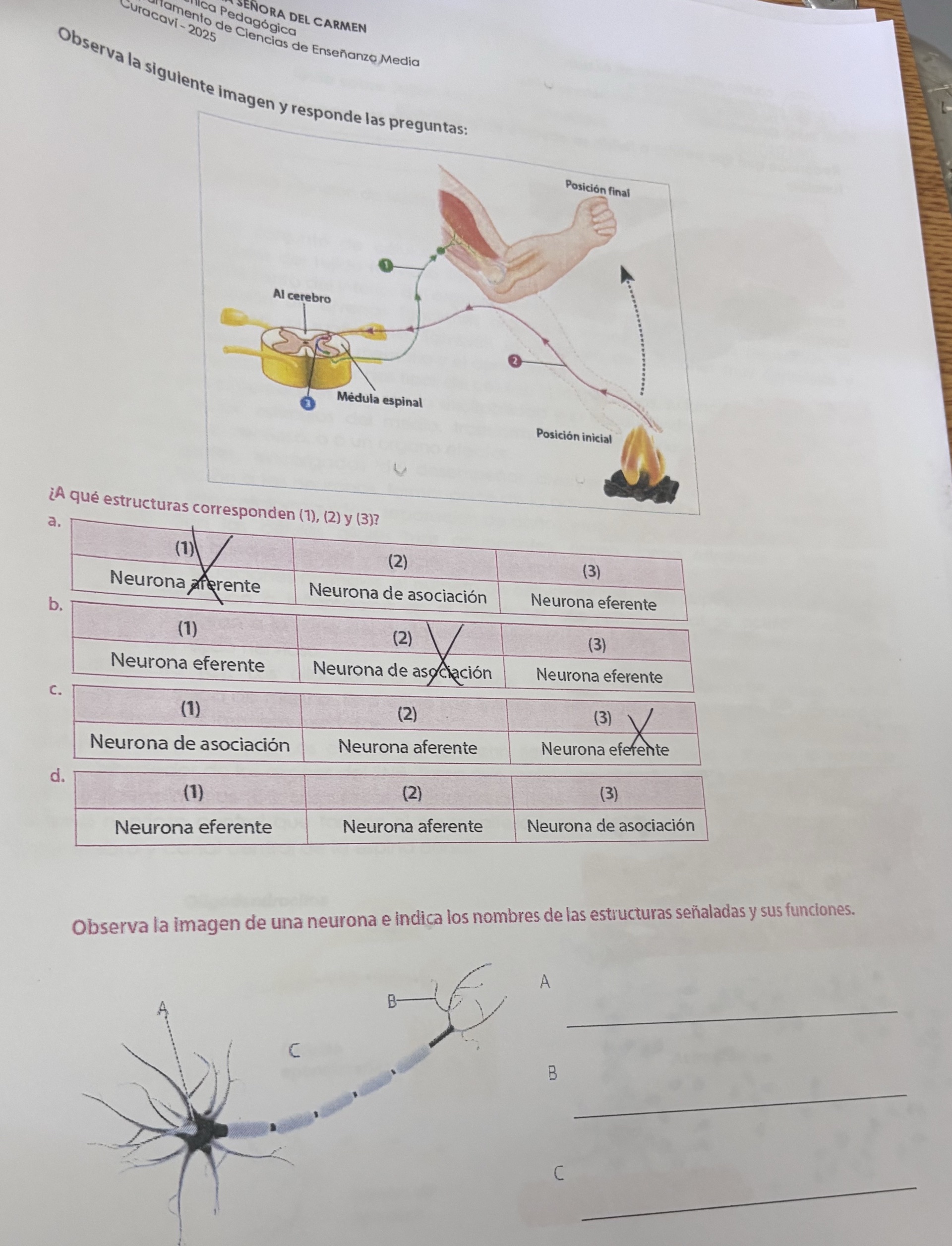 Observa la siguiente imagen y responde las | StudyX