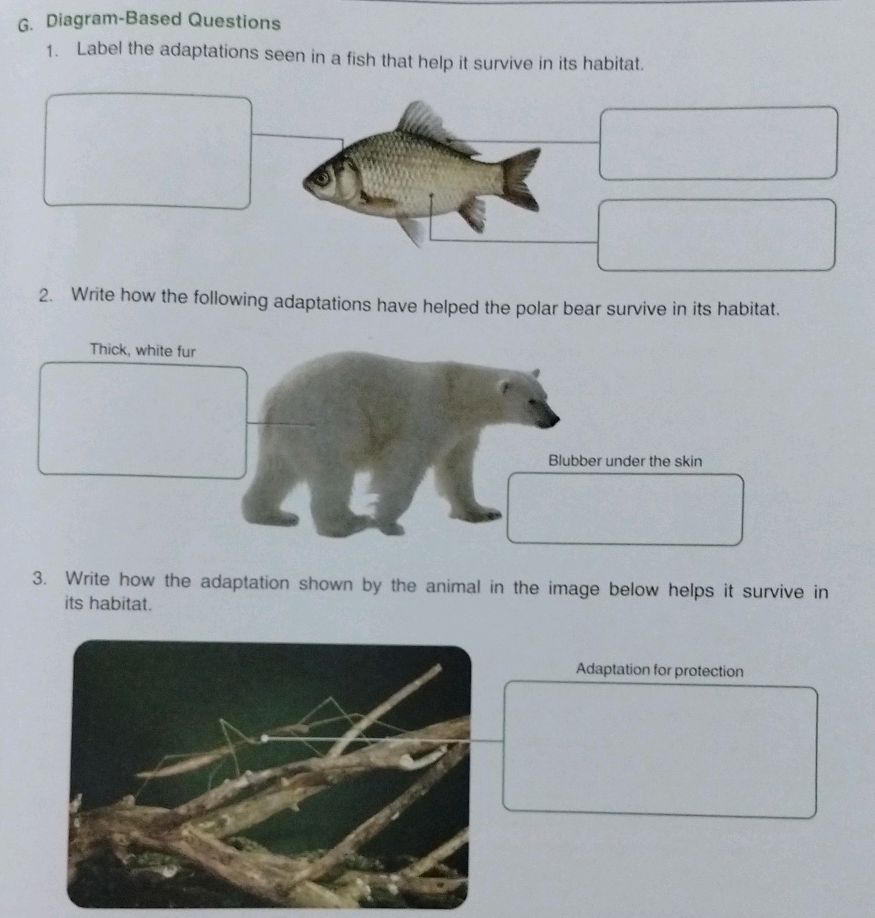 G. Diagram-Based Questions 1. Label the | StudyX
