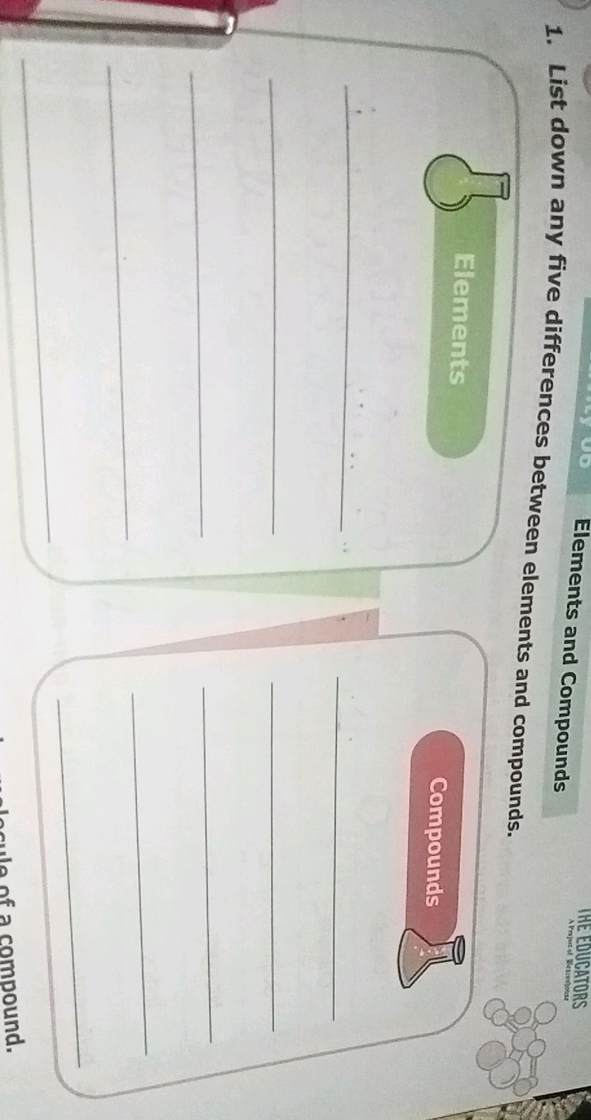 1. List down any five differences between | StudyX