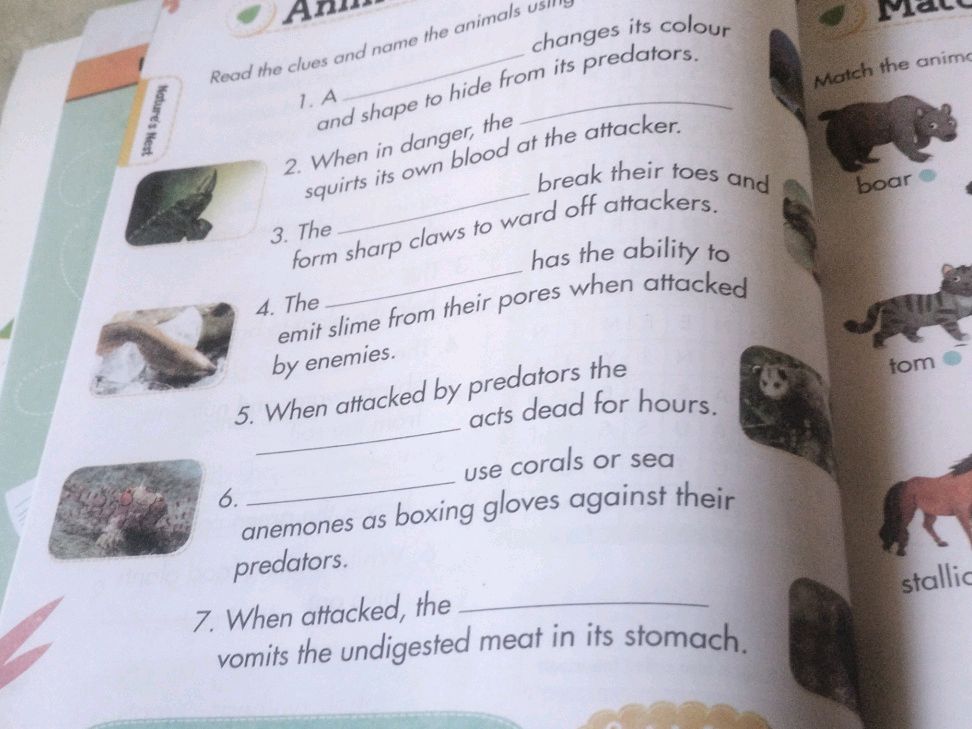 Read the clues and name the animals using: | StudyX