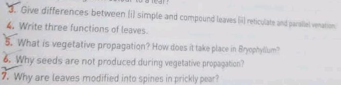 3. Give differences between (i) simple and | StudyX