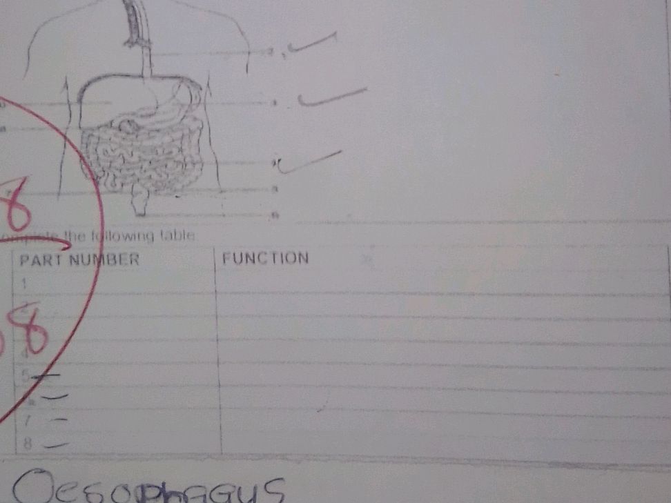 Complete the following table: | PART NUMBER | StudyX