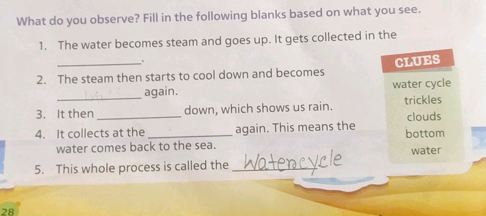 What do you observe? Fill in the following | StudyX