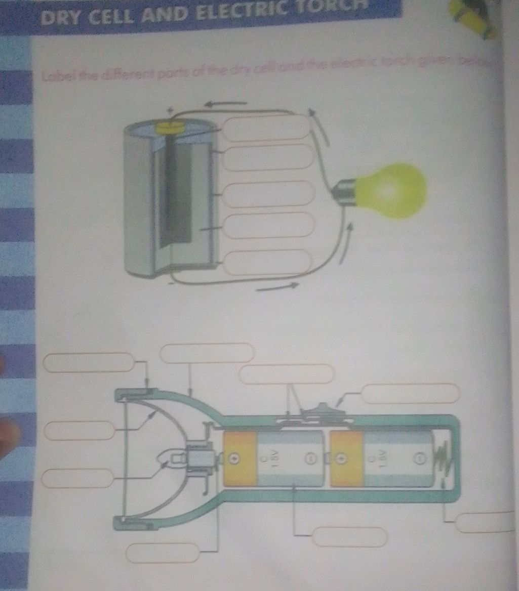 Label the different parts of the dry cell | StudyX