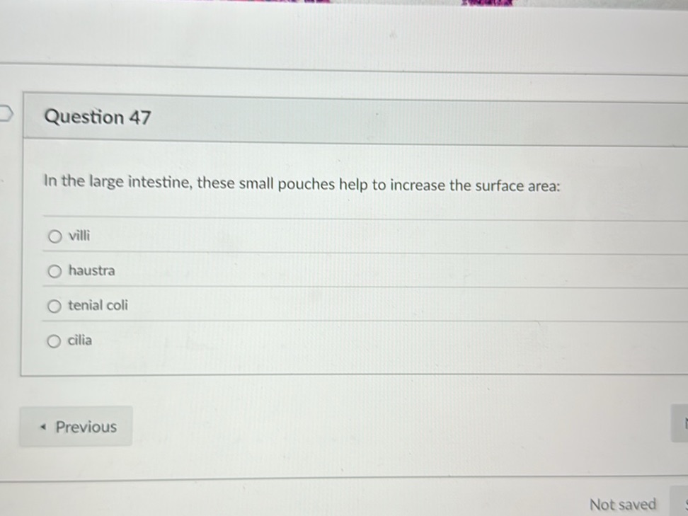 In the large intestine, these small pouches | StudyX