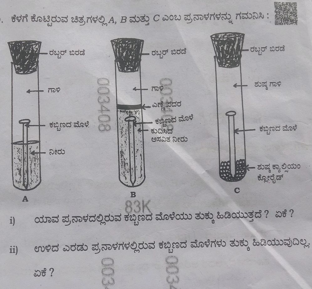 Observe the test tubes A, B, and C in the | StudyX