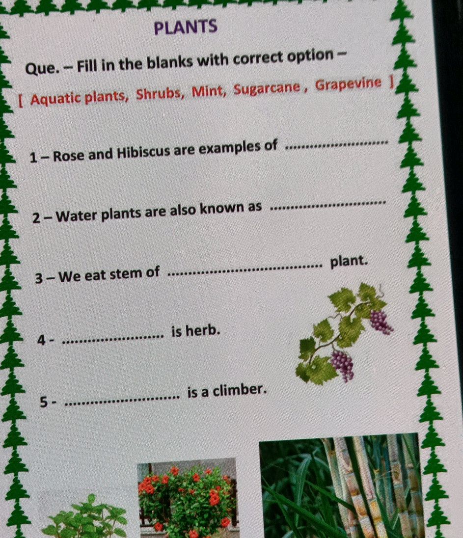 PLANTS Que. - Fill in the blanks with | StudyX