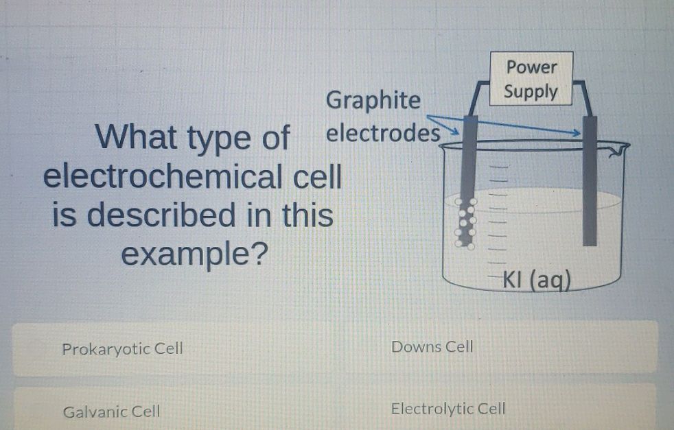 What type of electrochemical cell is | StudyX