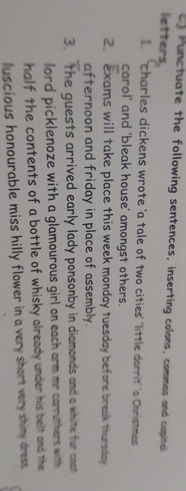 C) Punctuate the following sentences, | StudyX