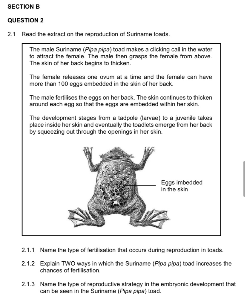2.1 Read the extract on the reproduction of | StudyX