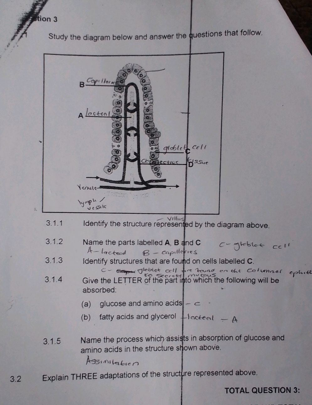 Study the diagram below and answer the | StudyX