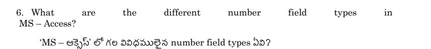 6. What are the different number field types | StudyX