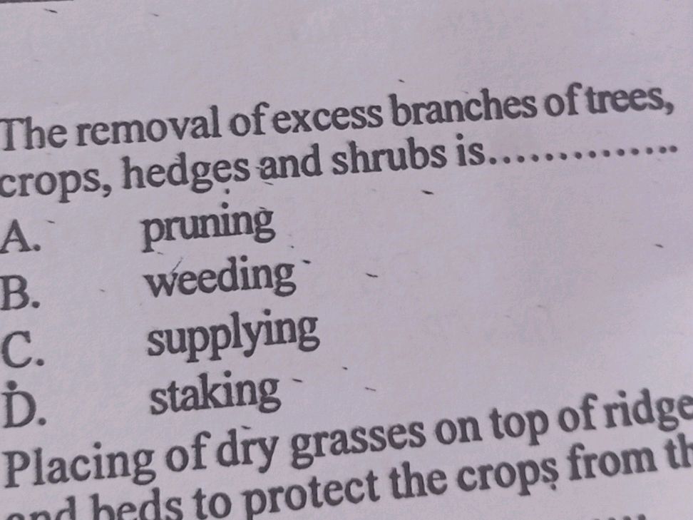 The removal of excess branches of trees, | StudyX