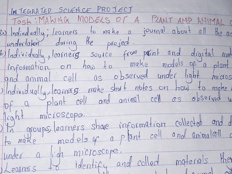 INTEGRATED SCIENCE PROJECT Task: MAKING | StudyX