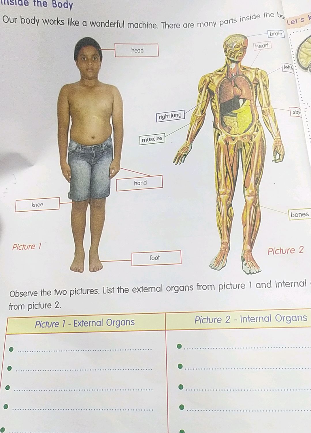 Observe the two pictures. List the external | StudyX