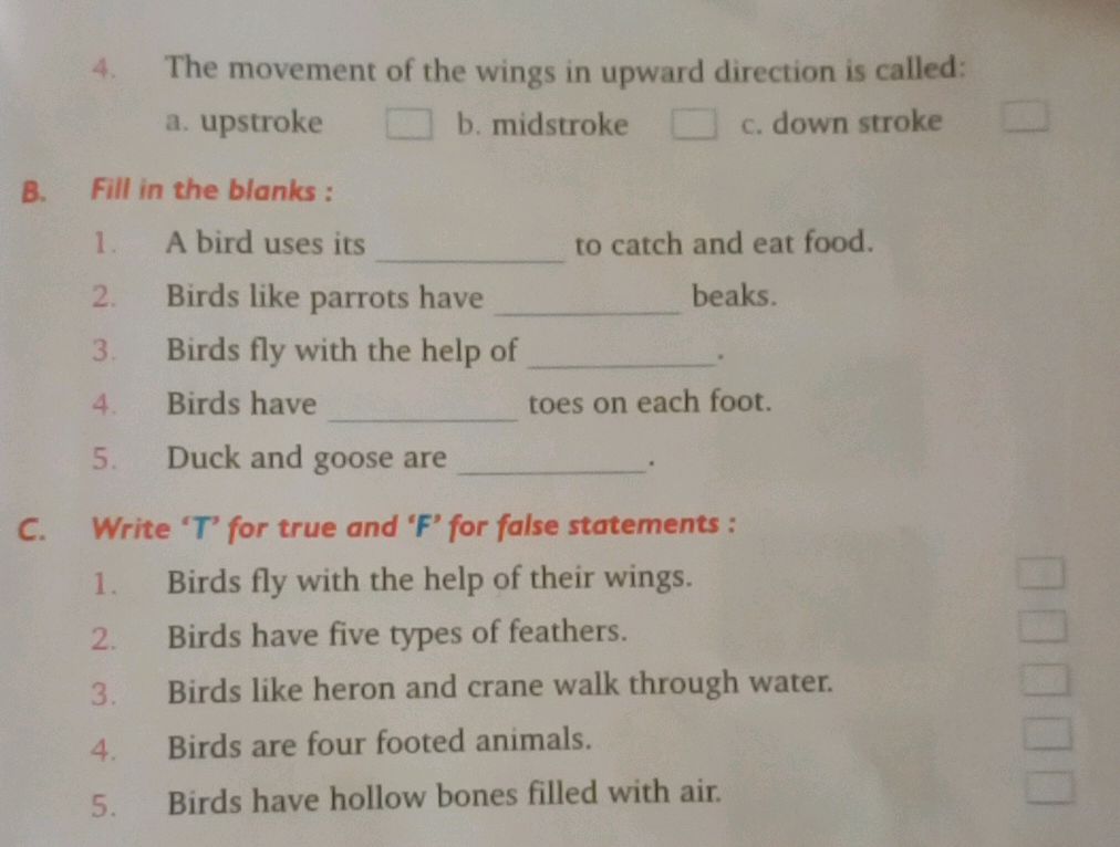 4. The movement of the wings in upward | StudyX