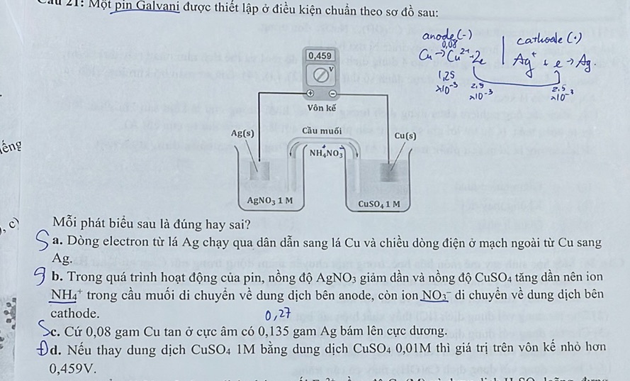 Câu 21: Một pin Galvani được thiết lập ở | StudyX