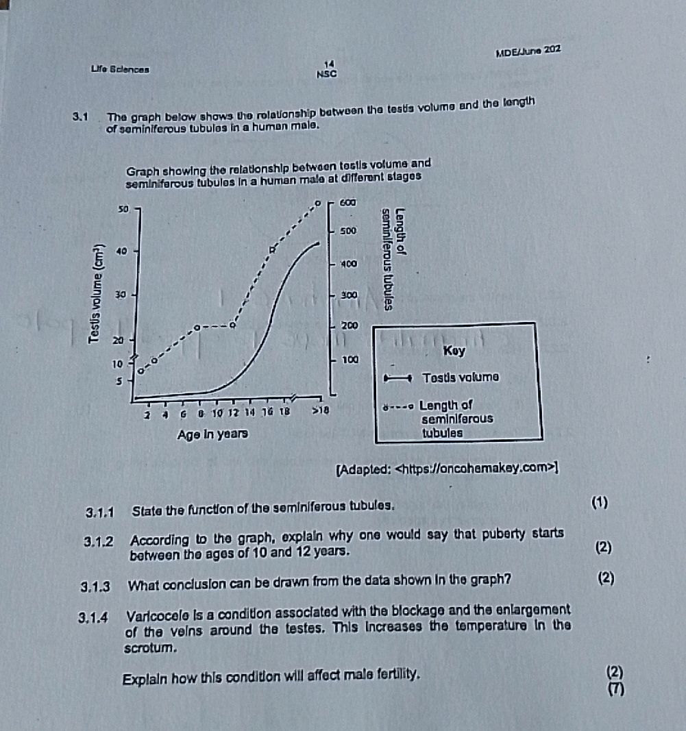 3.1 The graph below shows the relationship | StudyX