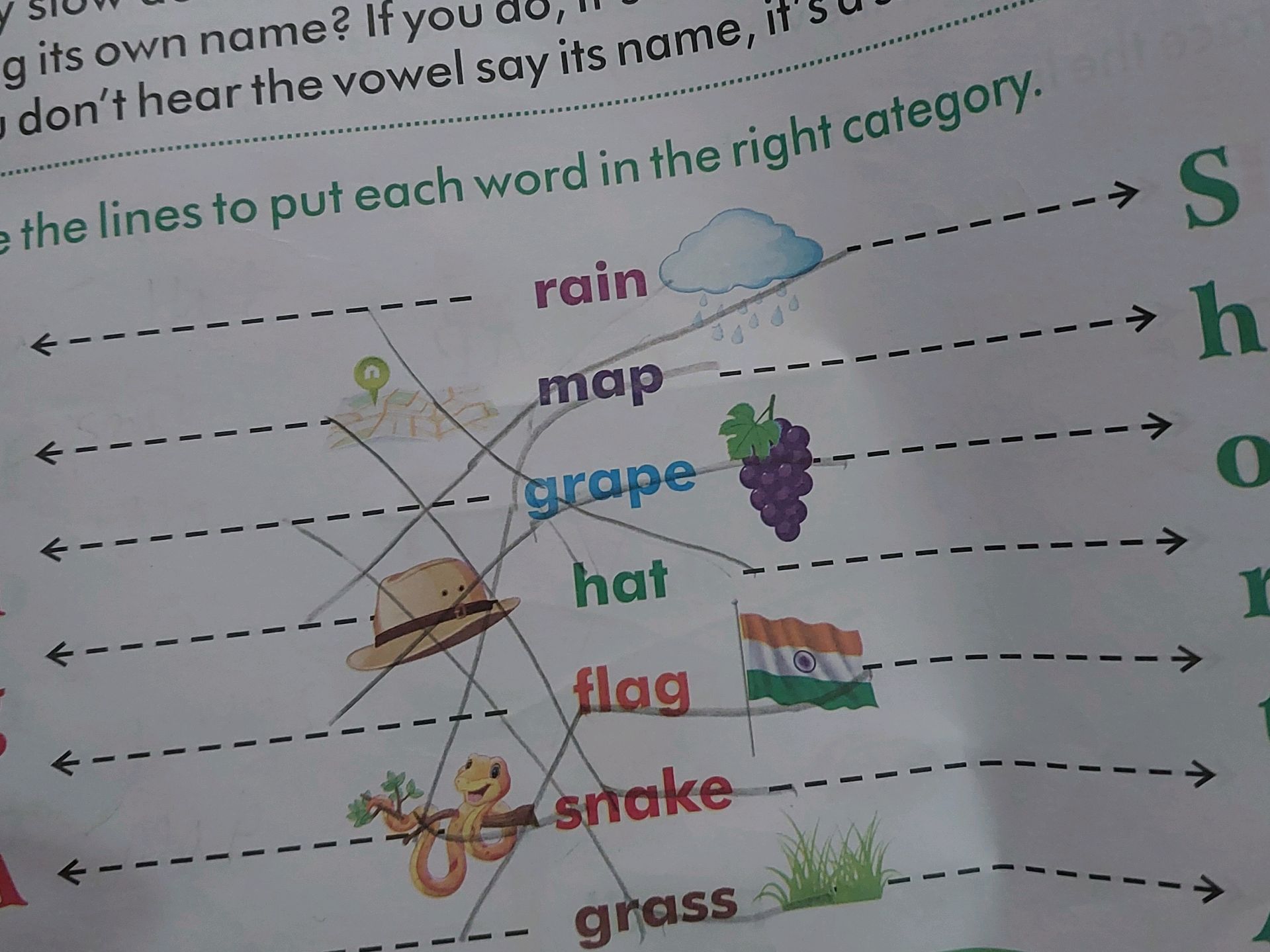 Use the lines to put each word in the right | StudyX