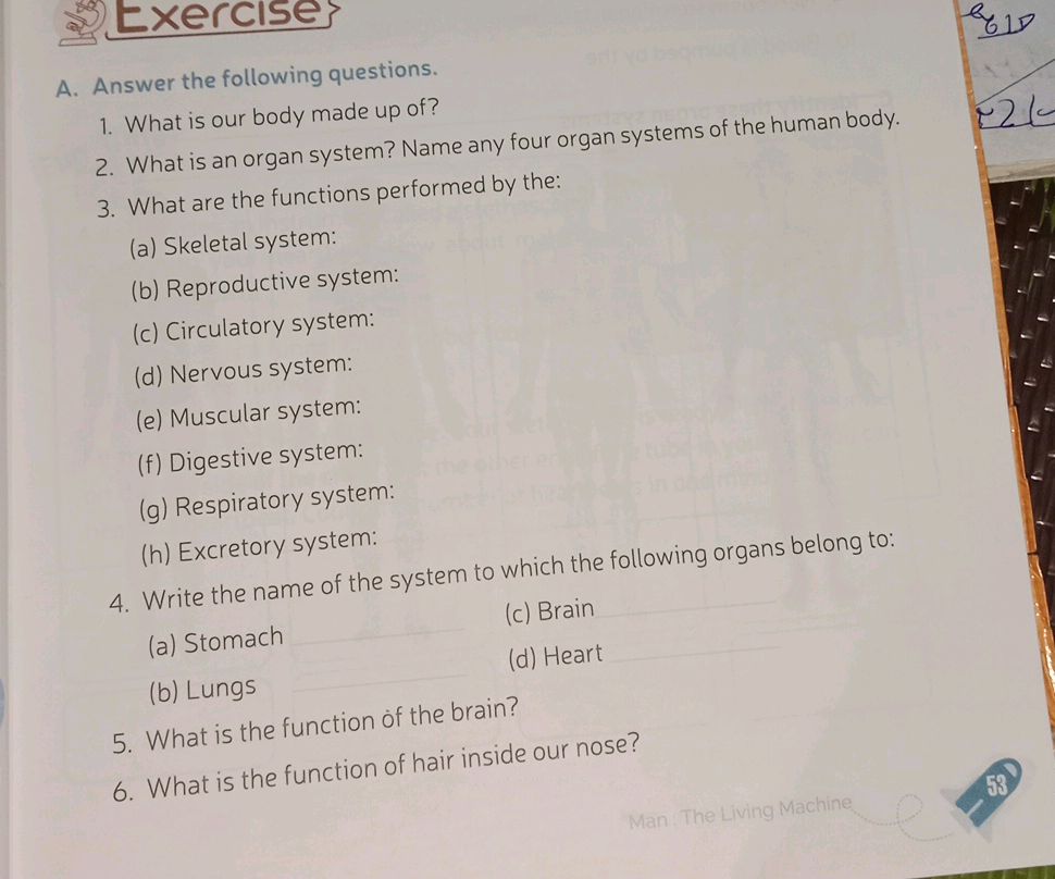 A. Answer the following questions. 1. What | StudyX