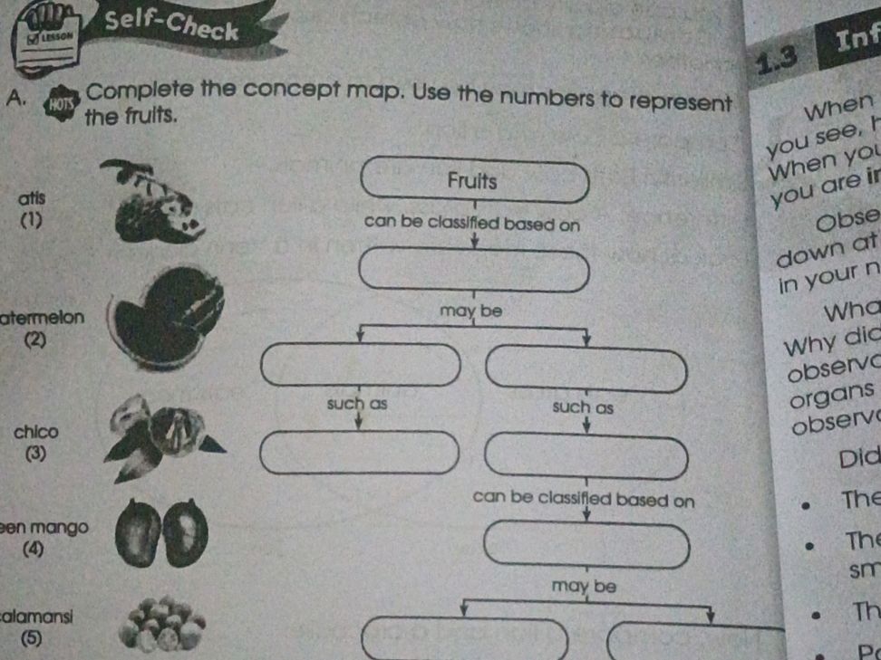 A. Complete the concept map. Use the numbers | StudyX