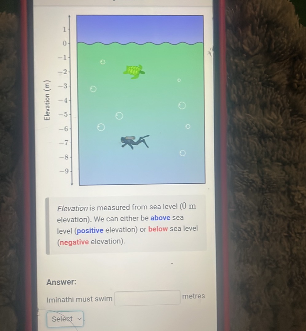 Elevation (m) 1 0 -1 -2 -3 -4 -5 -6 -7 -8 -9 | StudyX