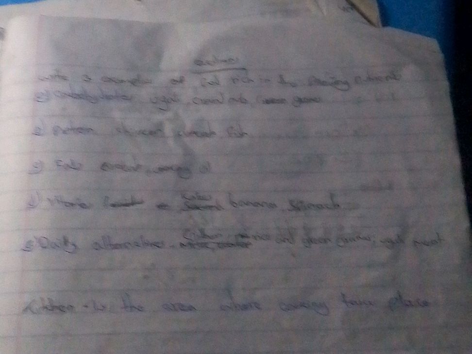 Write 5 examples of food rich in the | StudyX