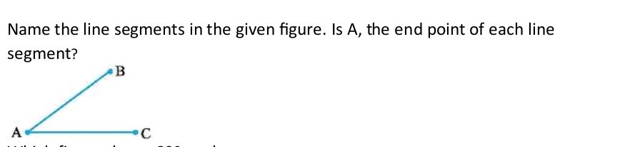 Name the line segments in the given figure. | StudyX