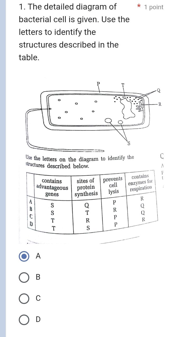1. The detailed diagram of bacterial cell is | StudyX